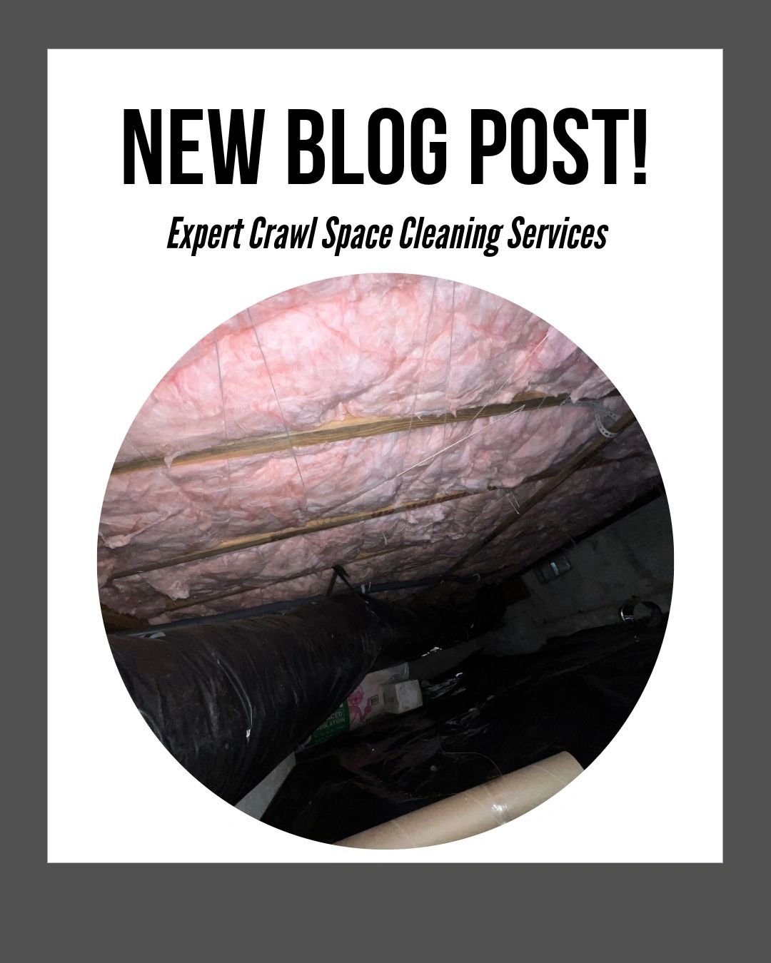 Searching For Crawl Space Cleaning Services n Seattle, WA?